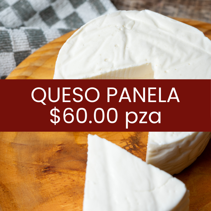 Queso panela (pieza)